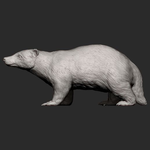 STL file European Badger 3D print model 🦡 (OBJ)・3D printable model to ...