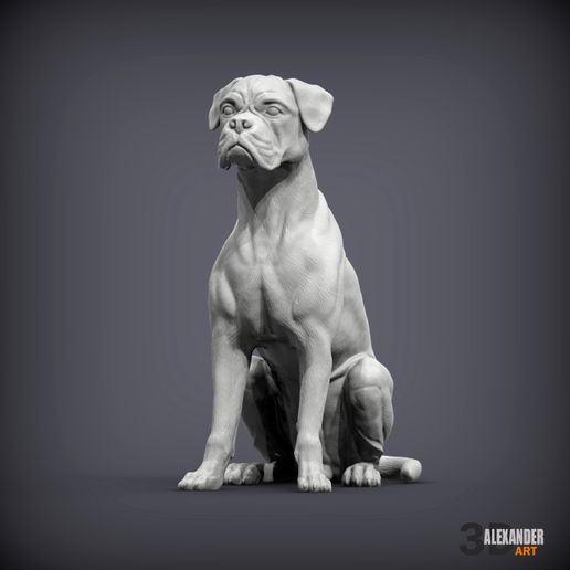 STL file Boxer dog sitting 3D print model 🐕 (OBJ)・Design to download ...