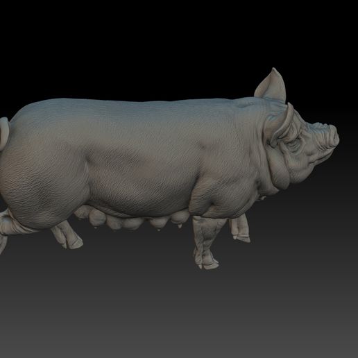 STL file Pig Animal 🐖 (OBJ)・3D printable model to download・Cults