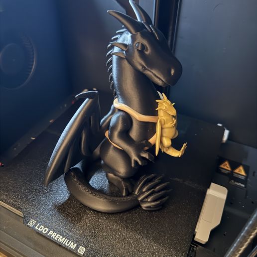 🪶 Tairn & Andarna (Fourth Wing Series)・3D Print with the Bambu laps P1S ...
