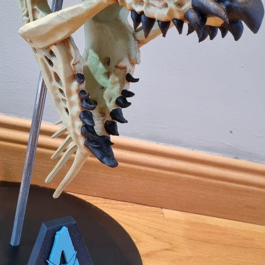💀 Avatar Ikran Banshee Skull・ STL File for 3D printing・Cults