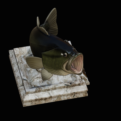 🐠 fish Largemouth Bass / Micropterus salmoides trophy statue detailed ...