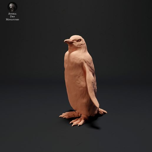 🐧 Gentoo Penguin・Free 3D File for 3D printing・Cults