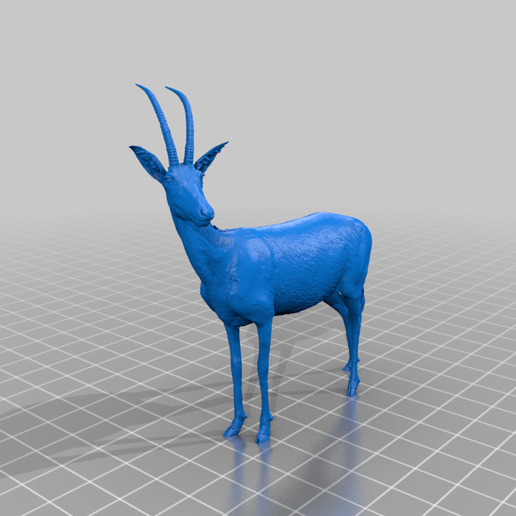 🖨️ Blue Antelope by Natural History Museum of Vienna・Free 3D File for ...