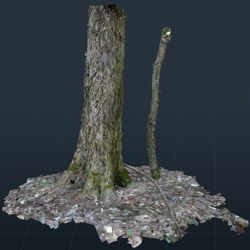 Free 3D file Tree trunk 🌳 ・3D print design to download・Cults