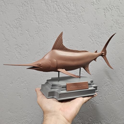 🐠 BLUE MARLIN・ STL File for 3D printing・Cults