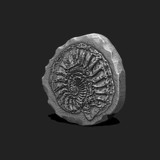 🪸 Marine Fossils for 3D Printing - STL 3D - Aquarium - Biology・ 3D File ...