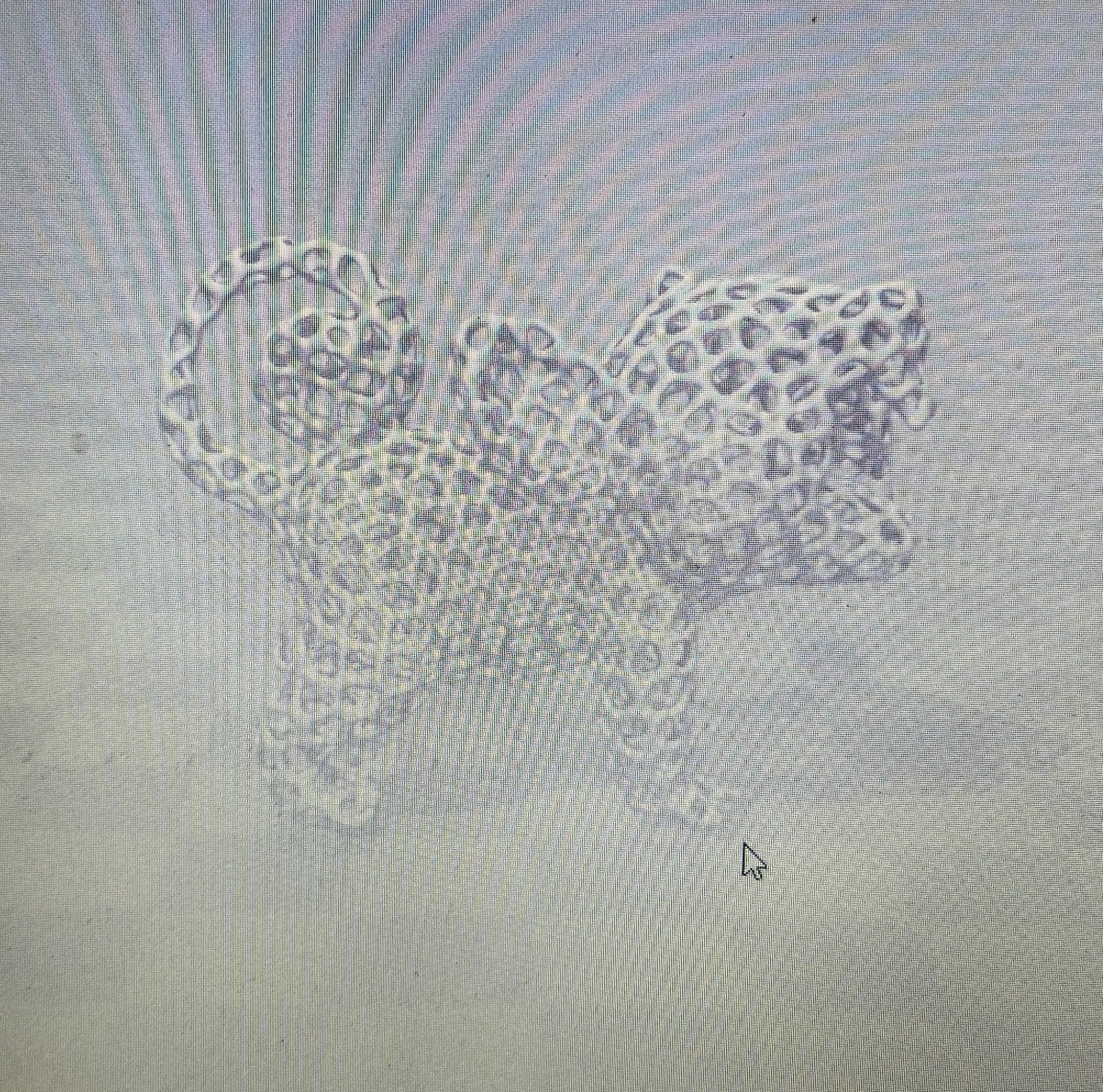 Stl File Ratata Voronoi・3d Printing Idea To Download・cults