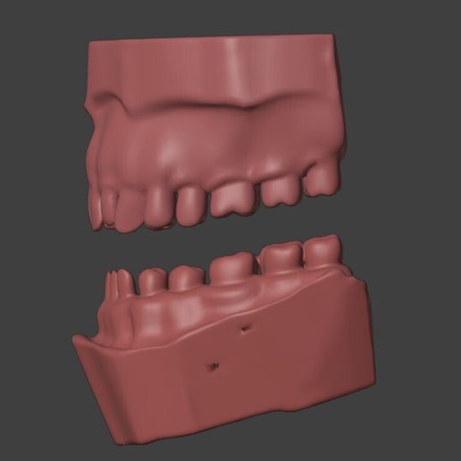 👄 3D Model of Mouth with Teeth・ STL File for 3D printing・Cults