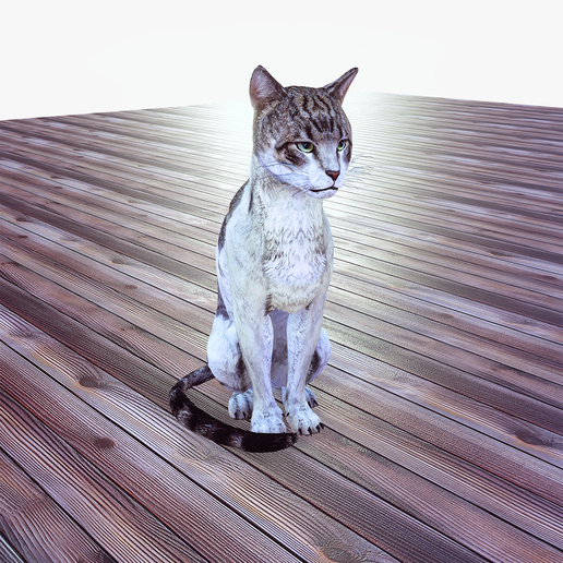 Файл OBJ CAT - DOWNLOAD CAT 3d model - animated for blender-fbx-unity ...