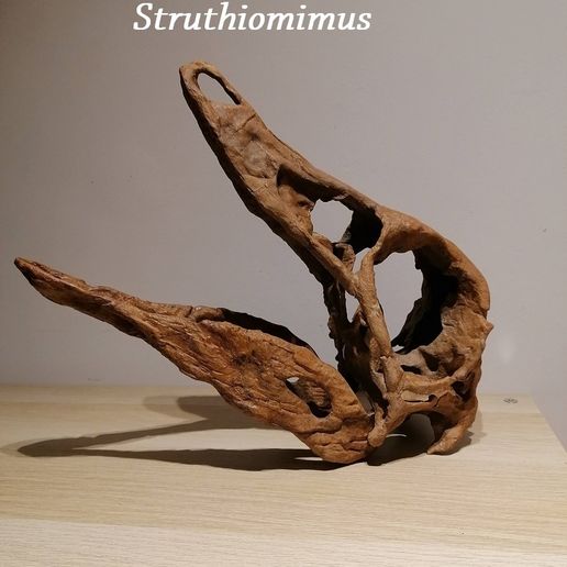 🦖 Dinosaur skull - Struthiomimus altus・ STL File for 3D printing・Cults