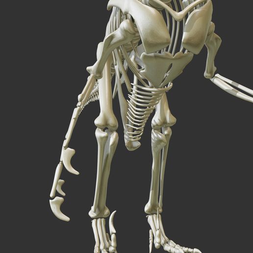 💀 Utahraptor : Complete skeleton・ STL File for 3D printing and CNC ...