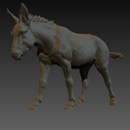 STL file Donkey 3d print 🐎 (OBJ)・3D printable model to download・Cults