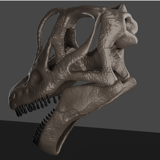 💀 Brachiosaurus skull 3d print・ STL File for 3D printing・Cults