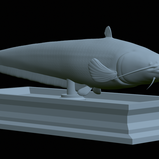 🐠 fish wels catfish / Silurus glanis statue detailed texture for 3d ...