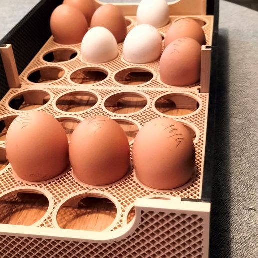 egg drawer holder