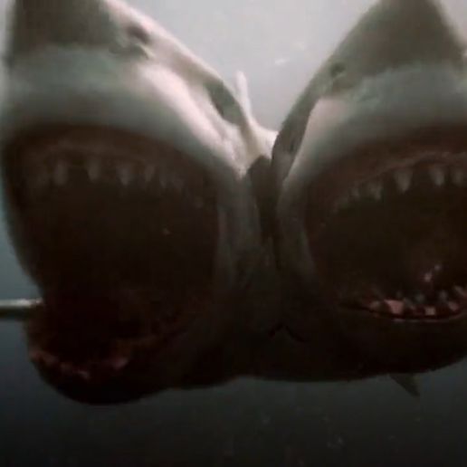two headed shark
