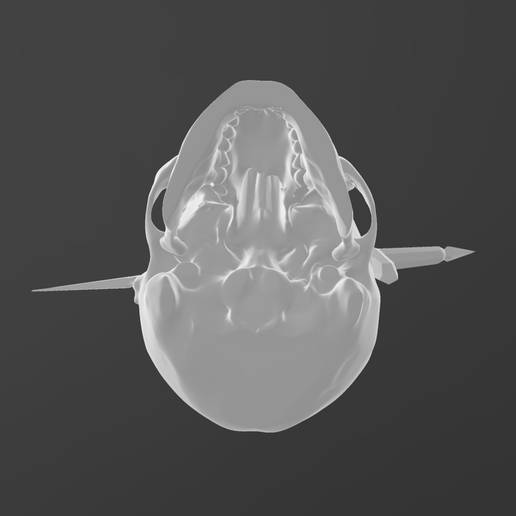 STL file Skull Impaled with a Sword 💀 ・3D printable design to download ...