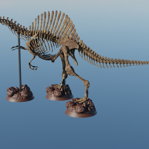 💀 Spinosaurus aegyptiacus skeleton v1,v2 and version JP3 model 3d print ...