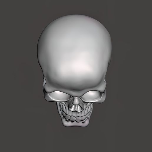 💀 Human Skull - Commercial Use・ 3D File for 3D printing・Cults
