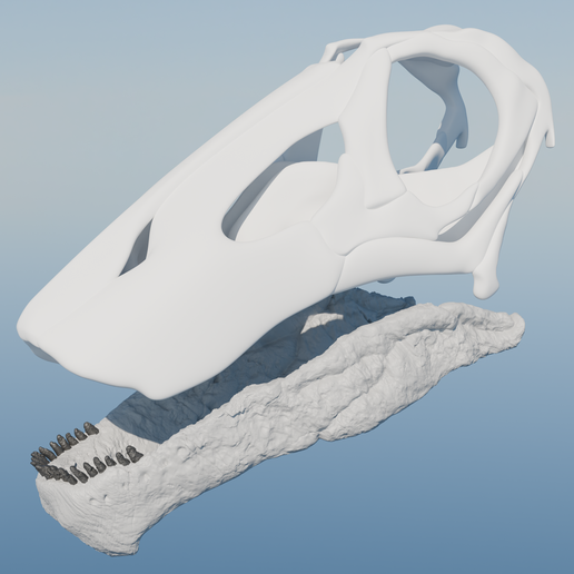 💀 Bajadasaurus pronuspinax model 3d print・ STL File for 3D printing・Cults