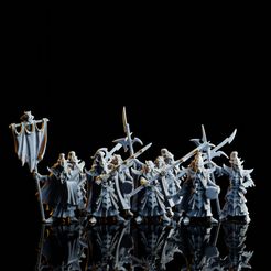 3D printer Dark Elves Dark Guard • made with Elegoo Saturn 3 Ultra・Cults