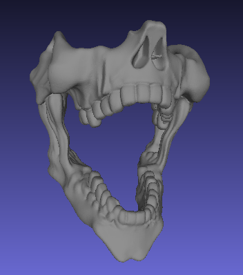 OBJ file Skeleton Mouth 💀 ・3D printable model to download・Cults