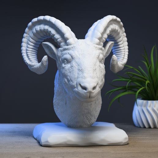 STL file Ram head bust, Animal head, Animal bust, Goat bust, Goat head ...