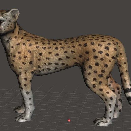 🐆 Cheetah・Free STL File for ・Cults