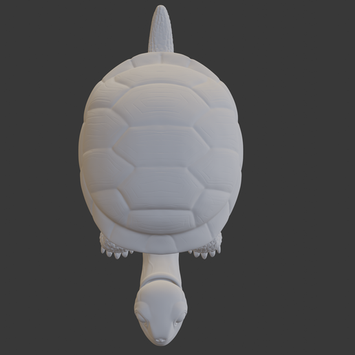 STL file Articulated Tortoise 👶 (OBJ)・3D print object to download・Cults