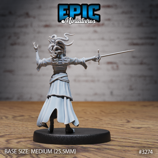 🏴‍☠️ Gorgon Pirate Set ‧ DnD Miniature ‧ Tabletop Miniatures ‧ Gaming ...