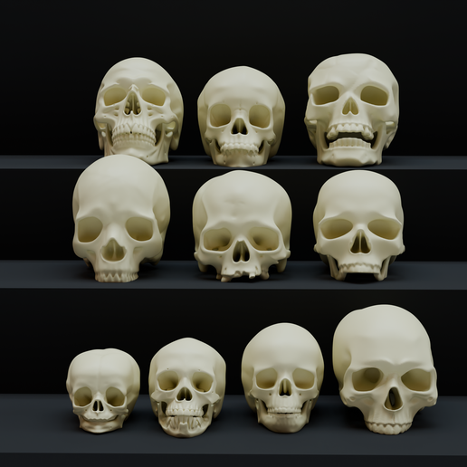 💀 decorative skull pack・Free STL File for 3D printing・Cults