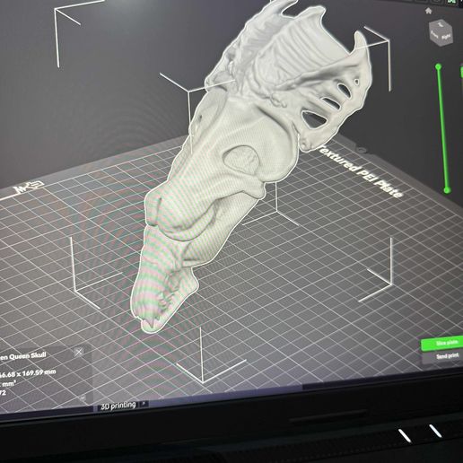 🦴 Alien Skull Trophy – Diorama-Ready 3D Model (STL) 🦴・ STL File for 3D ...