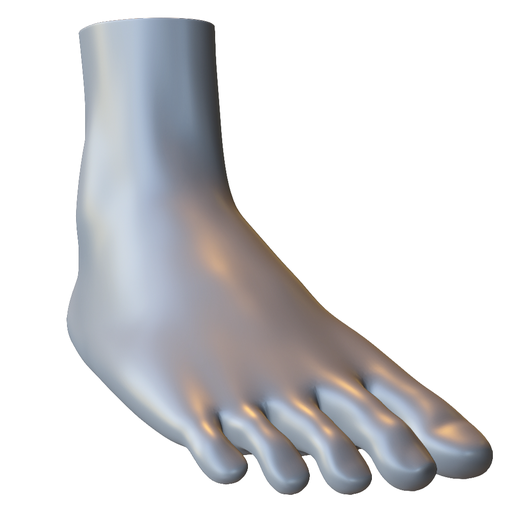 🦶 Modèle de pied humain stylisé・Fichier STL pour Impression 3D・Cults