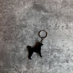 Labradoodle best 3D printer files・25 free models to download・Cults