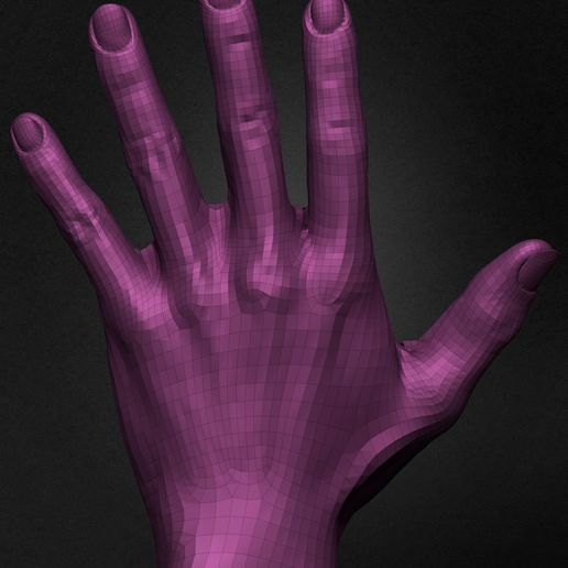 3d hand mesh