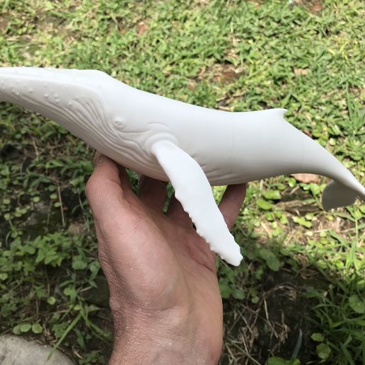 3D print Whale • made with Ender 3・Cults