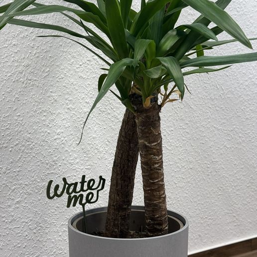 STL file "Water me" plant sign 🚰 (3MF)・3D printable model to download・Cults