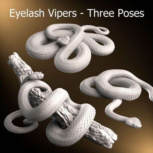 3D file Eyelash Pit Viper Realistic Exotic Snake 🐍 ・3D print model to ...