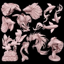 Betta best 3D printing models・75 free models to download・Cults