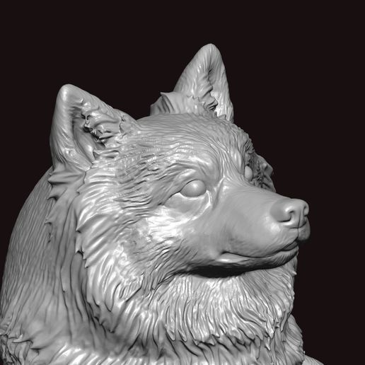 🐕 japanese spitz peaking pose・ STL File for 3D printing・Cults