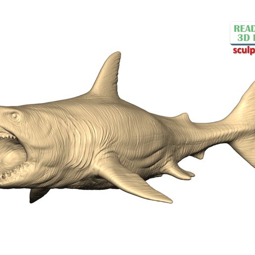 🌊 Ancient Ocean Creature Megalodon 3D sculpting printable model・ 3D ...
