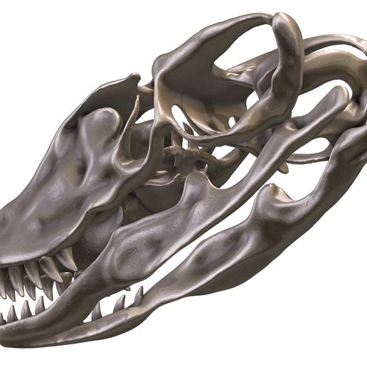Fichier STL Megalania crâne 🐉 (OBJ)・Design pour imprimante 3D à ...