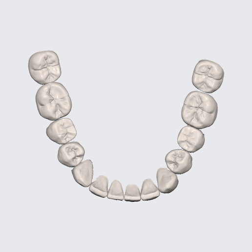 👽 Teeth Library (Exclusive)・ STL File for 3D printing・Cults