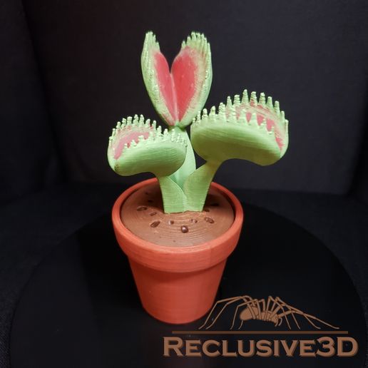 🪰 Venus Fruit Fly Trap・ STL File for ・Cults