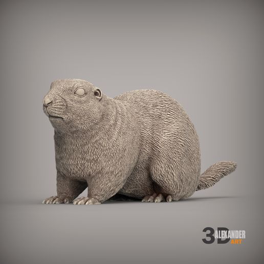 🐕 Prairie dog 3D print model・ STL File for 3D printing・Cults