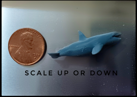 🐳 Miniature ORCA- Killer Whale- Moby- Shamoo Sea Creatures-Miniature ...