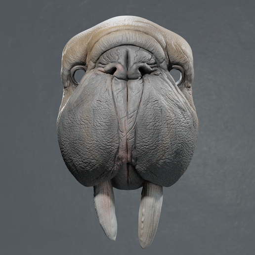 OBJ file The walrus collectible 3d printable mask 🇦🇶 ・3D printing model ...