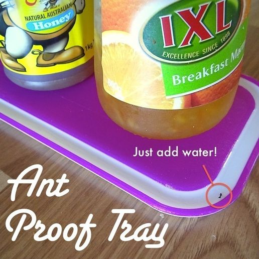 Free STL file Ant Proof Tray 🐜 ・3D printing idea to download・Cults
