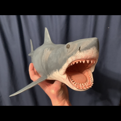 🦈 Bruce Shark (Jaws 1975)・3D Print・Cults